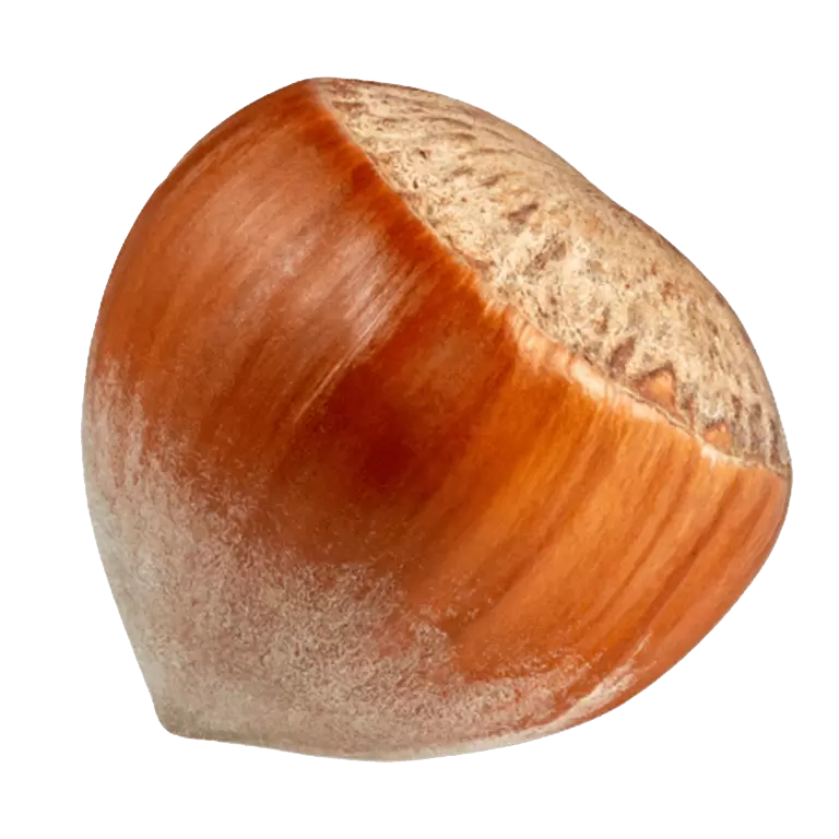 Ossoro - The Boss Of Flavour